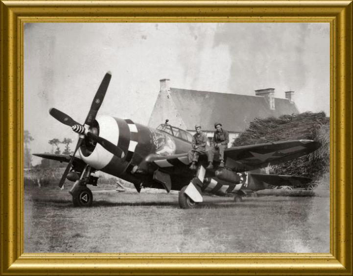 395th Nose Art Gallery